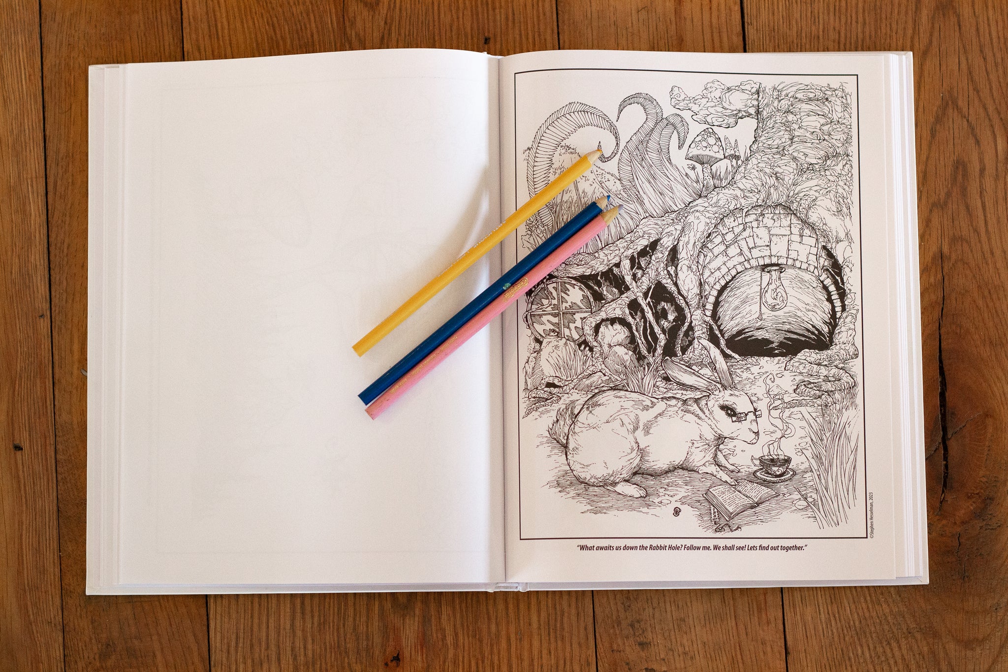Serial Adventures and Daydreams: An All-Ages Coloring Book by Stephen ...