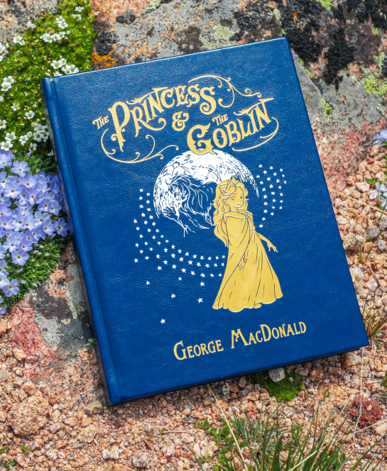 The Princess and the Goblin – The Rabbit Room Store